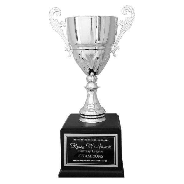 Silver Metal Cup Individual Award